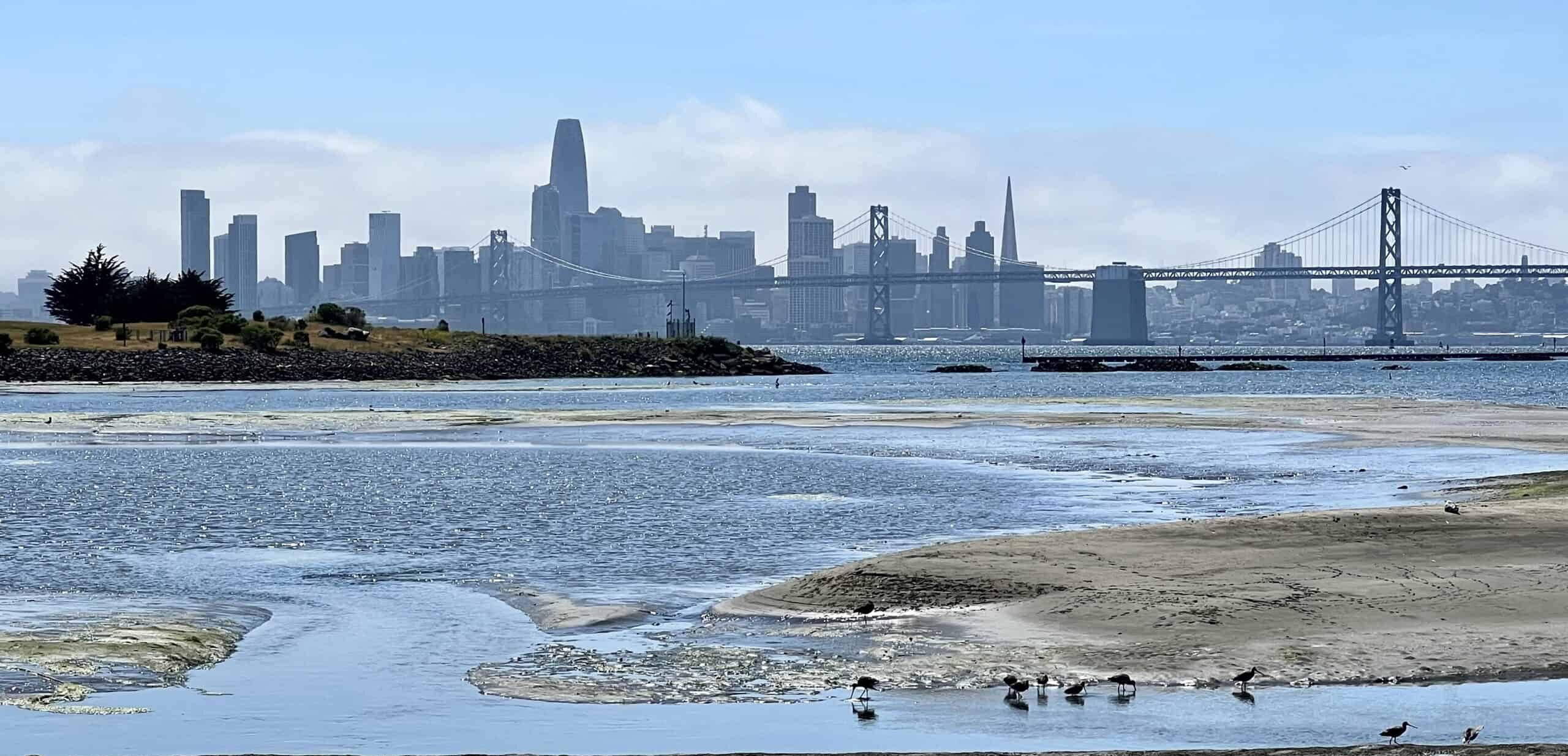 Resources - San Francisco Bay Joint Venture