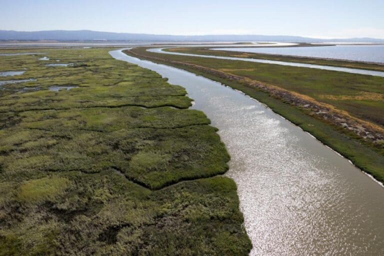 Climate Change and the Bay - San Francisco Bay Joint Venture